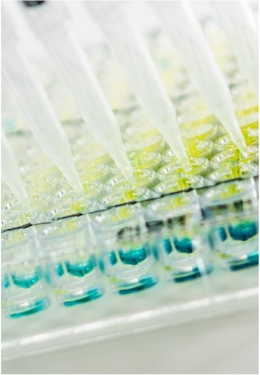 CER - Your partner for innovation